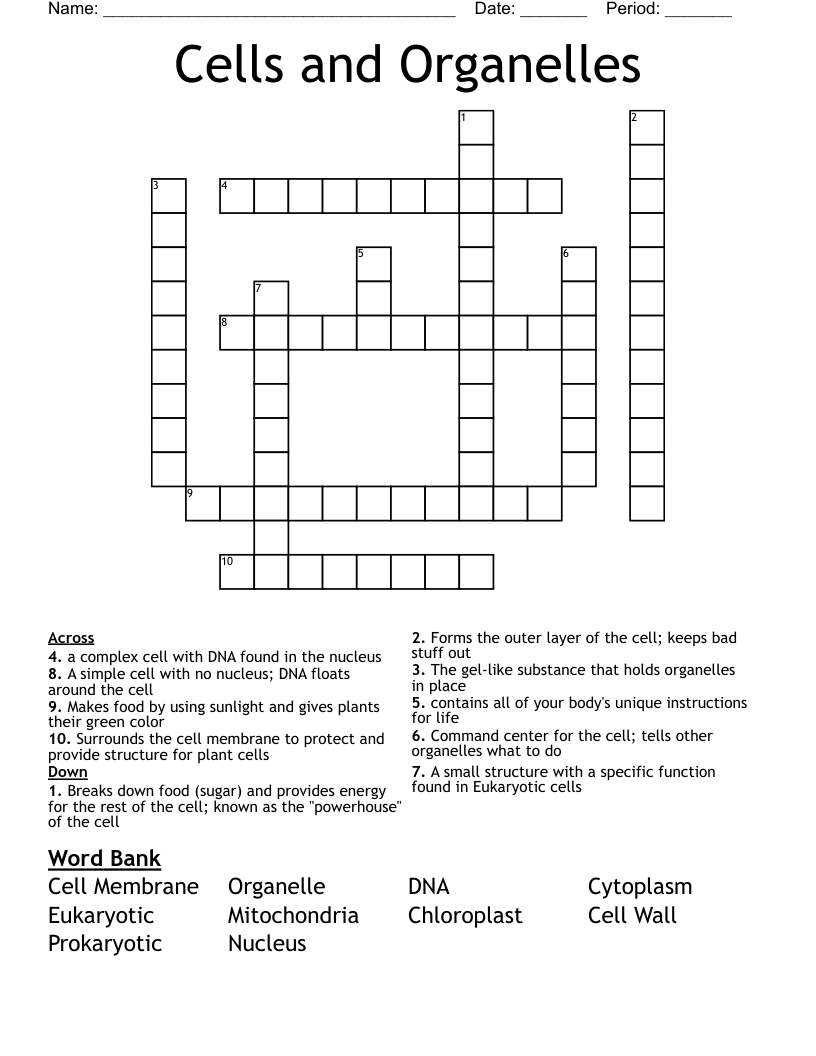 Cells and Organelles Crossword - WordMint