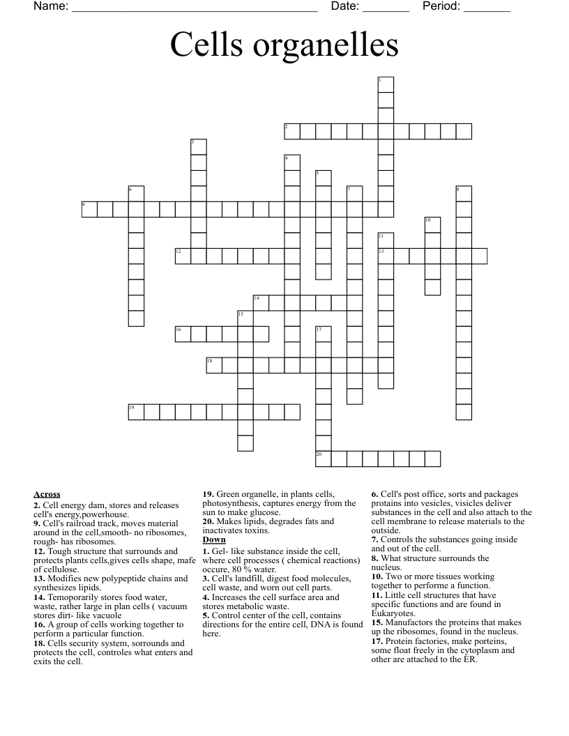 Cells organelles Crossword - WordMint