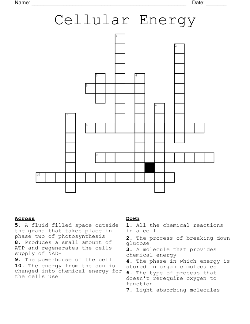 Cellular Energy Crossword - WordMint