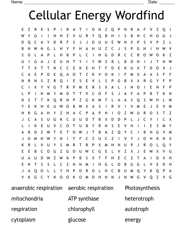 Cellular Energy Wordfind Word Search - WordMint