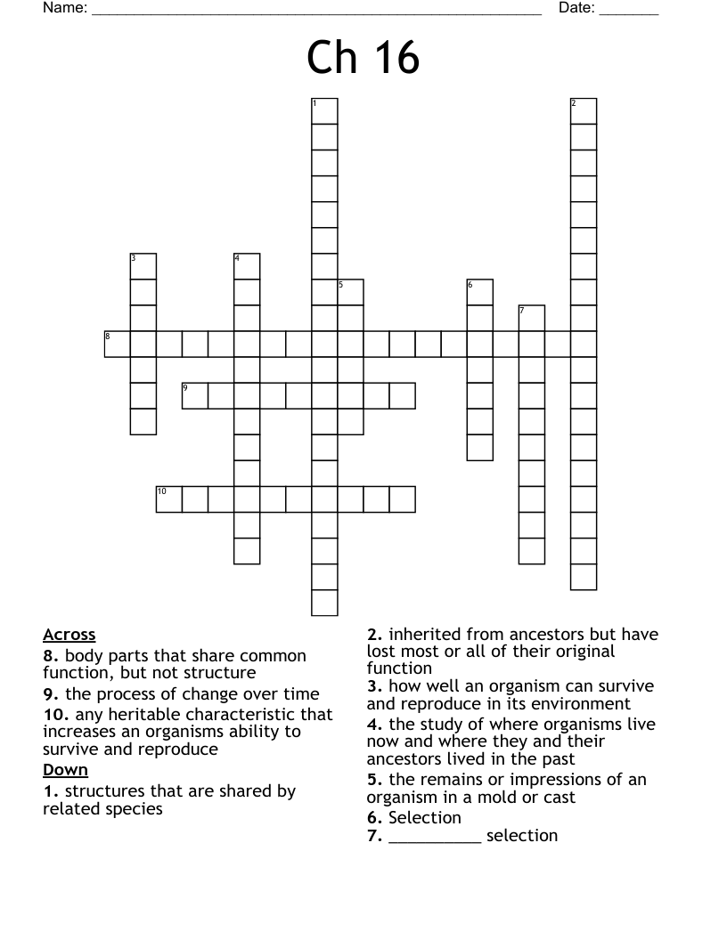 Ch 16 Crossword WordMint