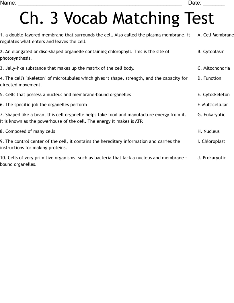 Ch. 3 Vocab Matching Test Worksheet - WordMint