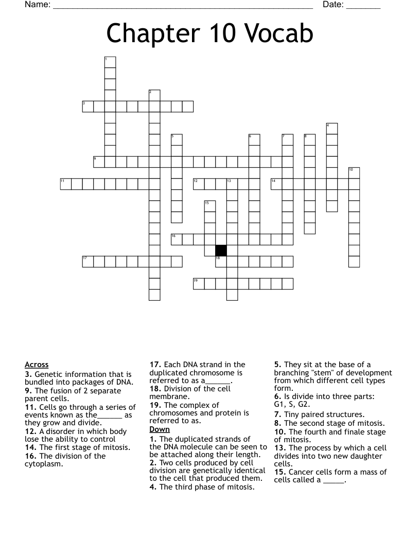 Chapter 10 Vocab Crossword - WordMint