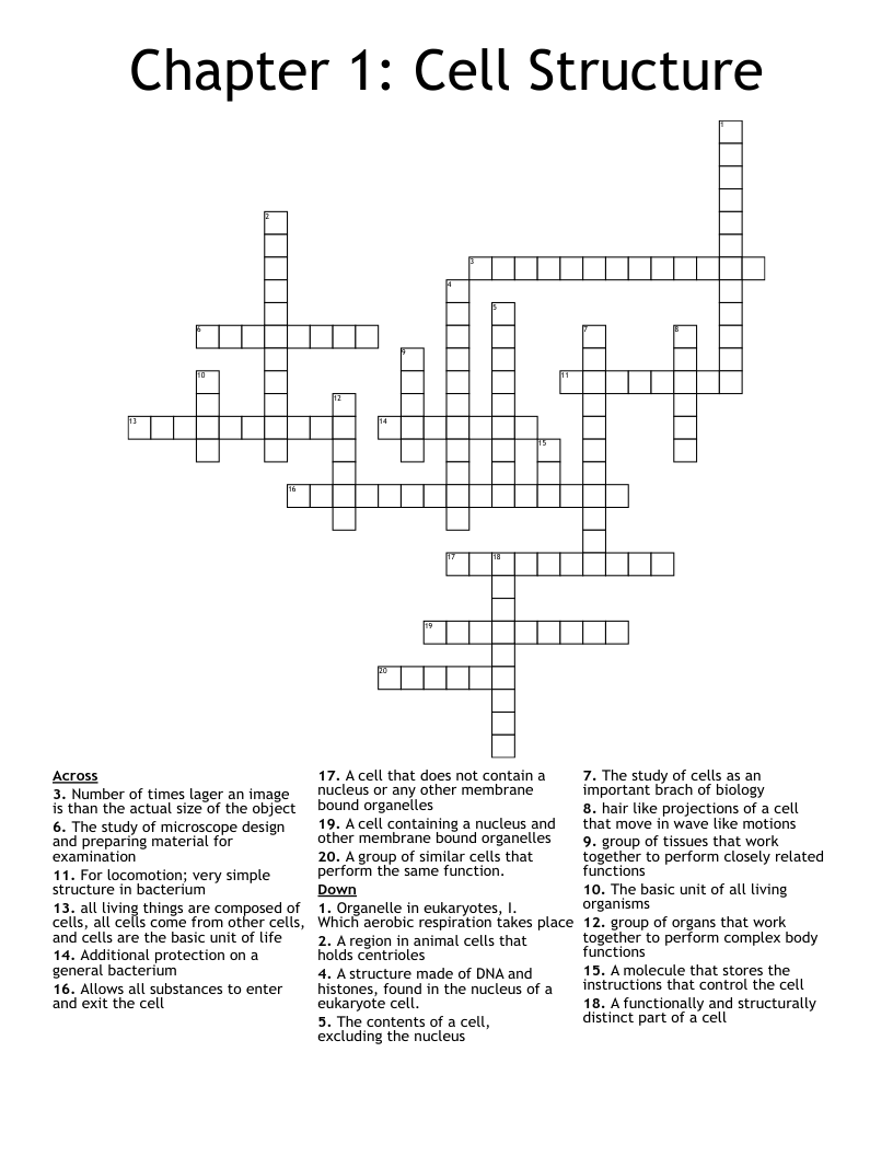 Chapter 1 Cell Structure Crossword WordMint chapter-1-cell-structure-crossword-wordmint