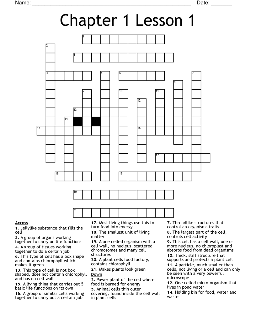 Chapter 1 Lesson 1 Crossword - WordMint