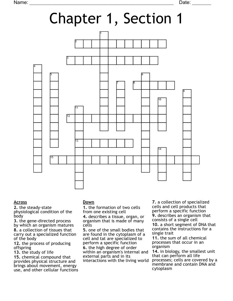 Chapter 1, Section 1 Crossword - WordMint