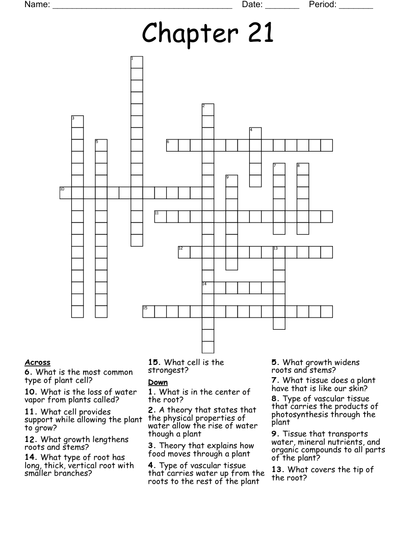Chapter 21 Crossword - WordMint