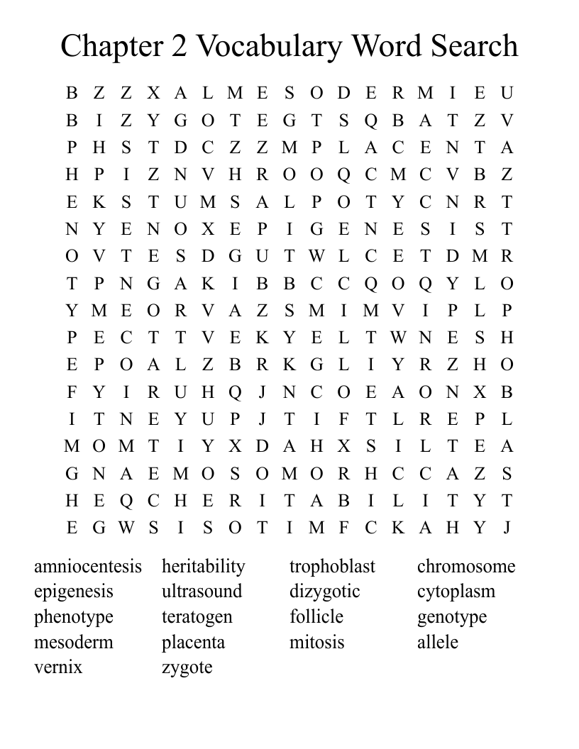 Chapter 2 Vocabulary Word Search - WordMint