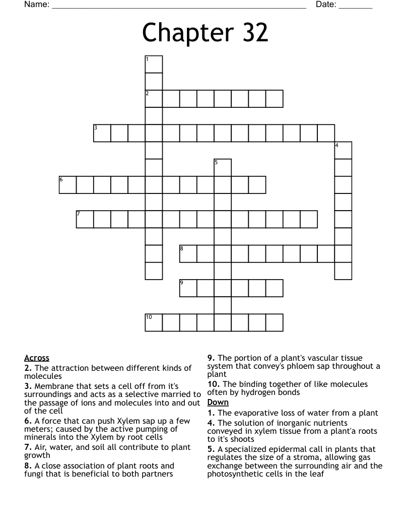 Chapter 32 Crossword - WordMint