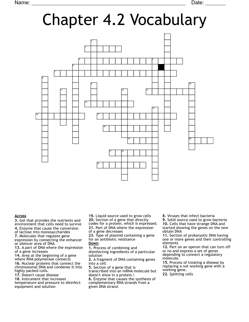 Chapter 4.2 Vocabulary Crossword - WordMint