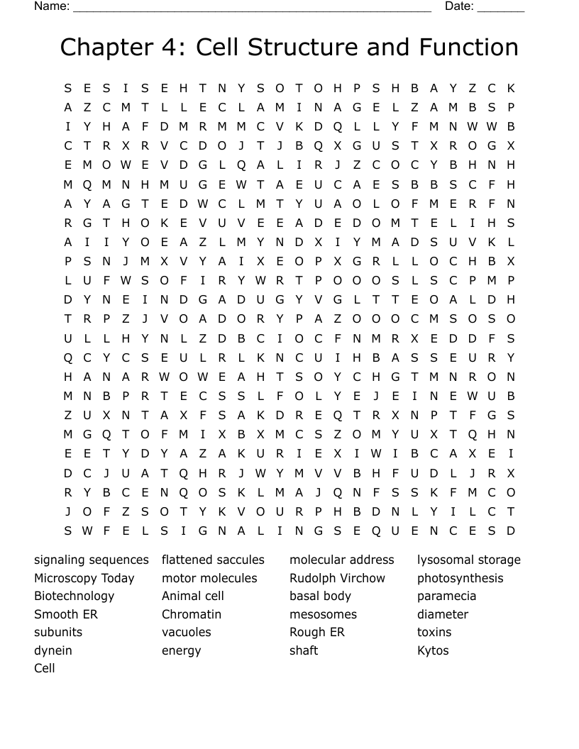 Chapter 4 Cell Structure And Function Word Search WordMint