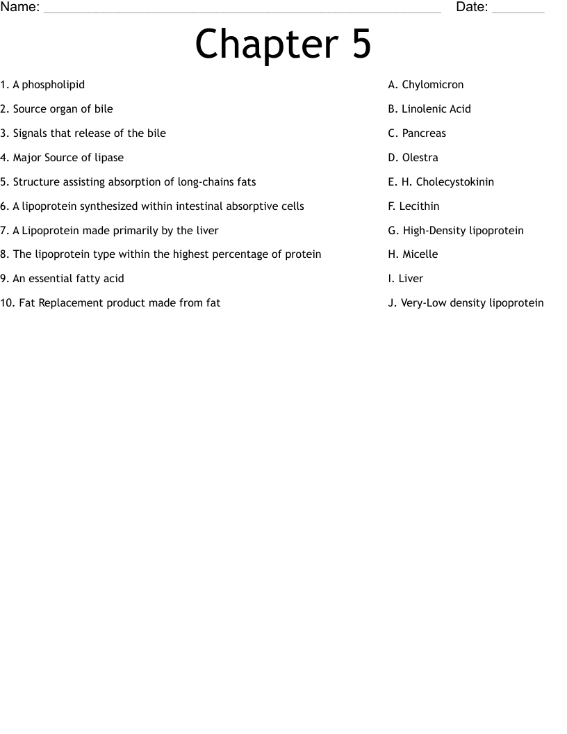 Chapter 5 Worksheet WordMint