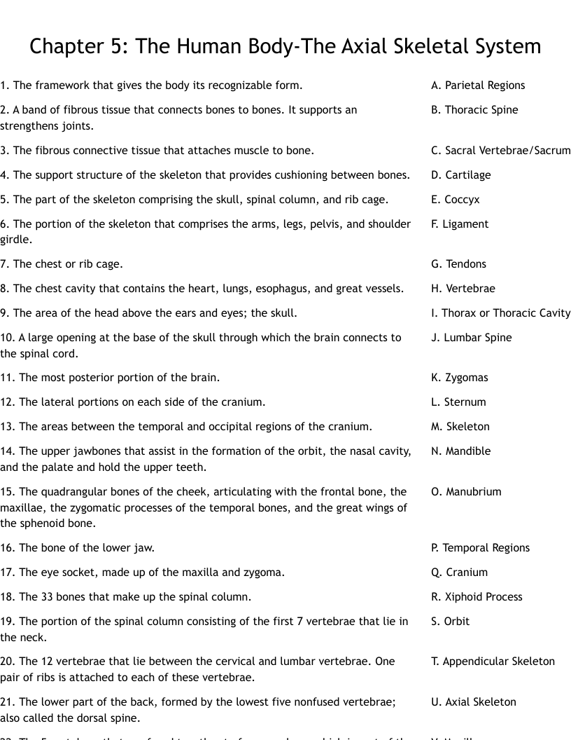Chapter 5 The Skeletal System Worksheet Answers CynthiaAleia