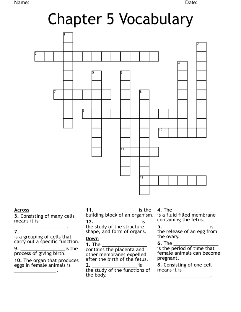 Chapter 5 Vocabulary Crossword - WordMint