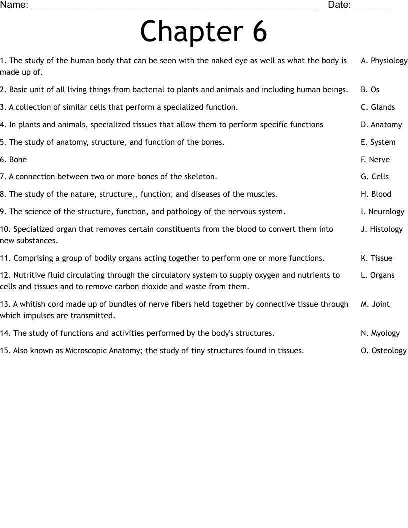 Chapter 6 Worksheet WordMint