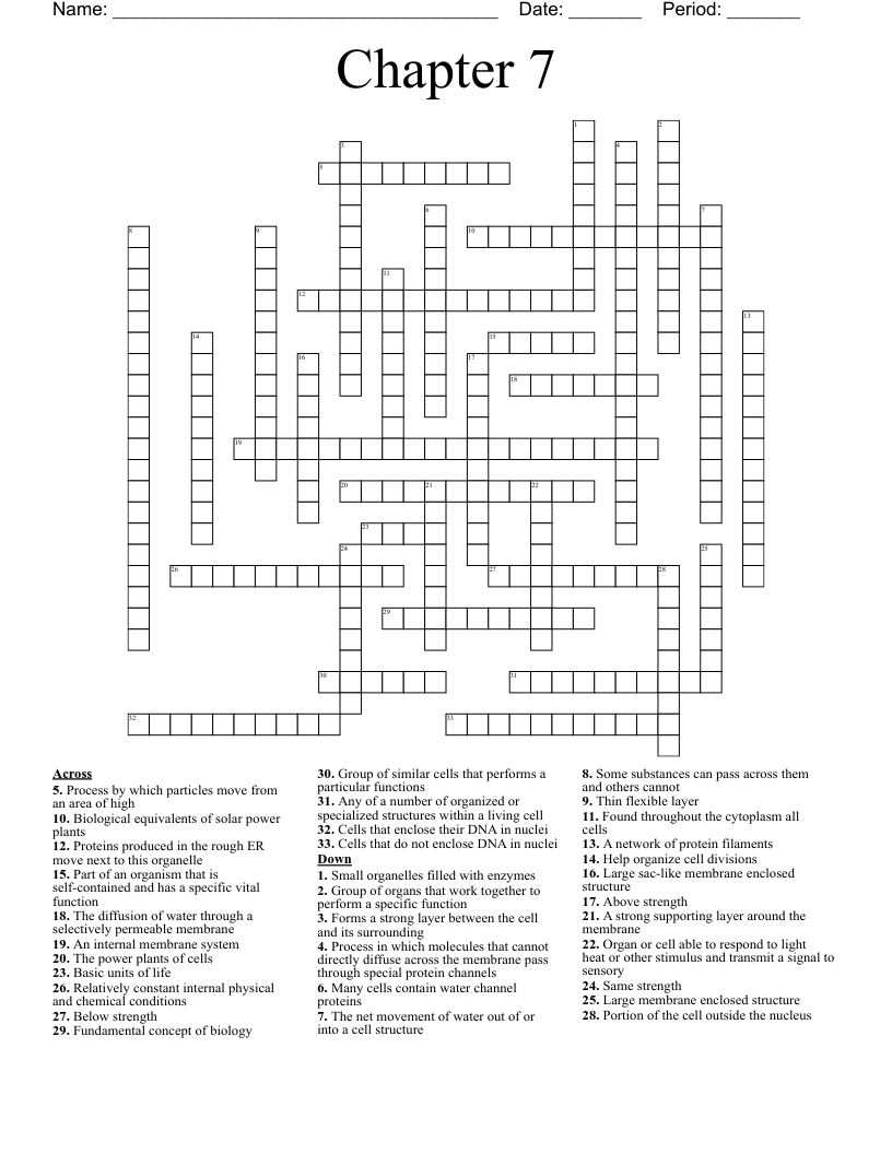 Chapter 7 Crossword - WordMint