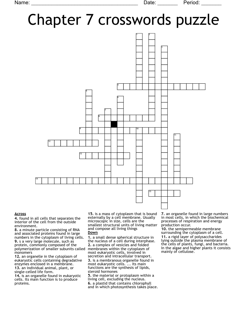 Chapter 7 crosswords puzzle - WordMint