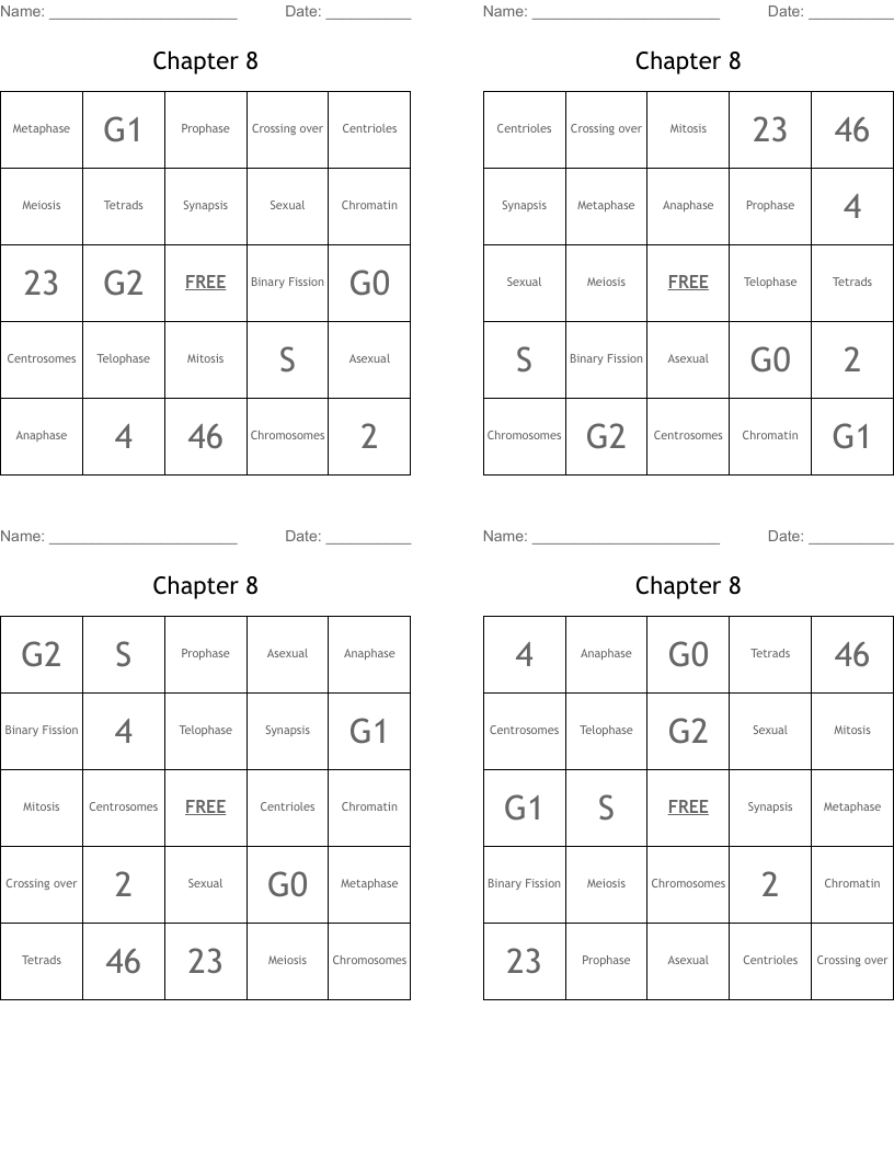 Chapter 8 Bingo Cards - WordMint