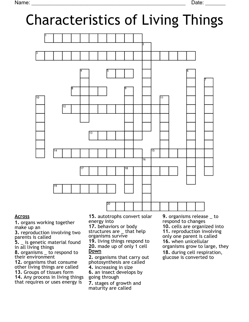 Characteristics of Living Things Crossword - WordMint