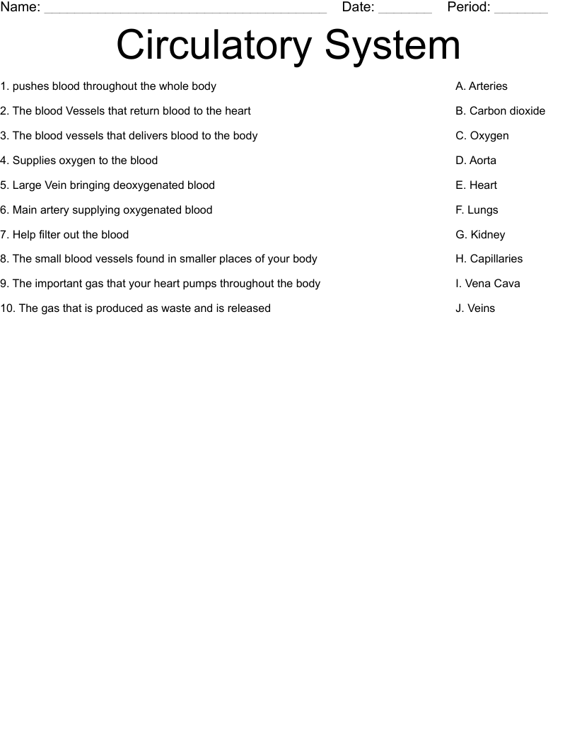 Circulatory System Worksheet - WordMint