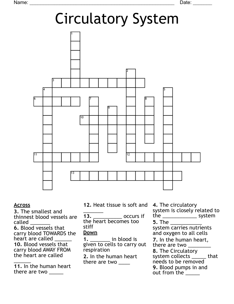 Circulatory System Crossword - WordMint