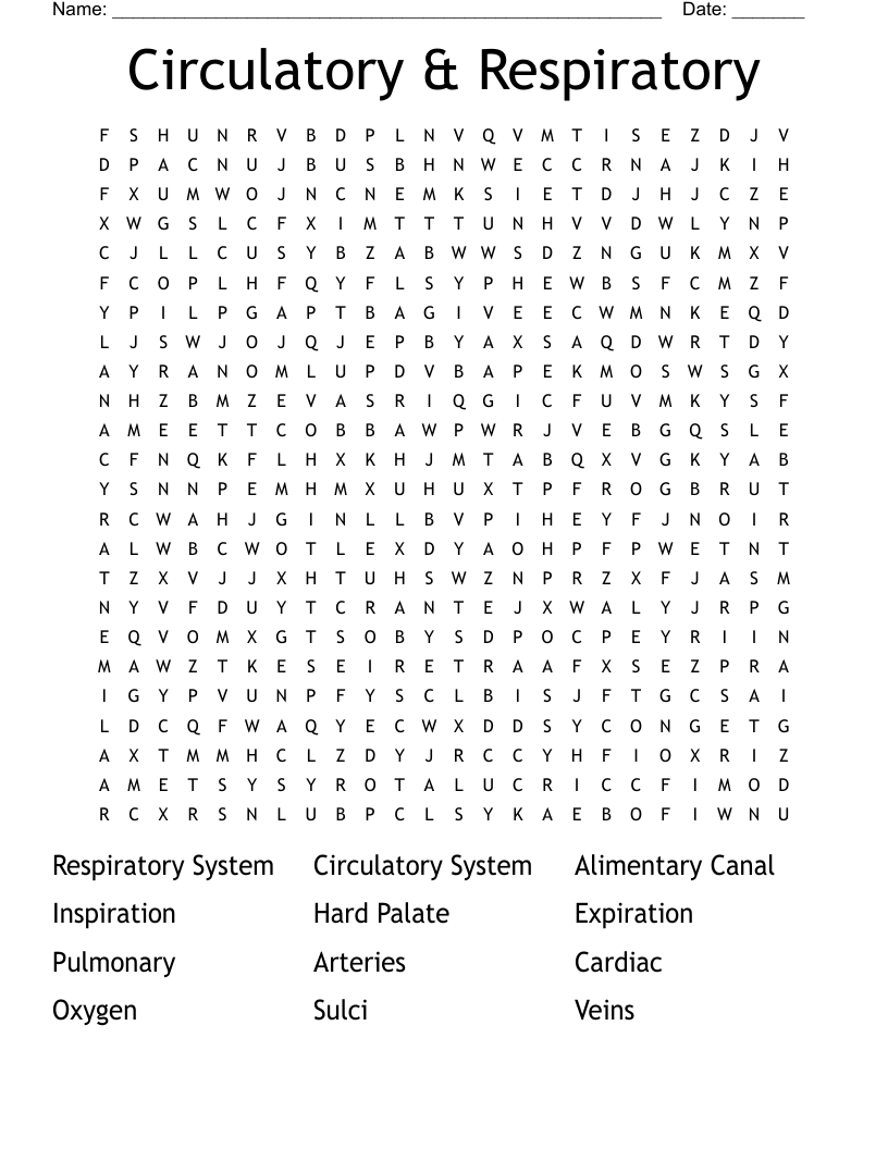 Circulatory & Respiratory Word Search - WordMint