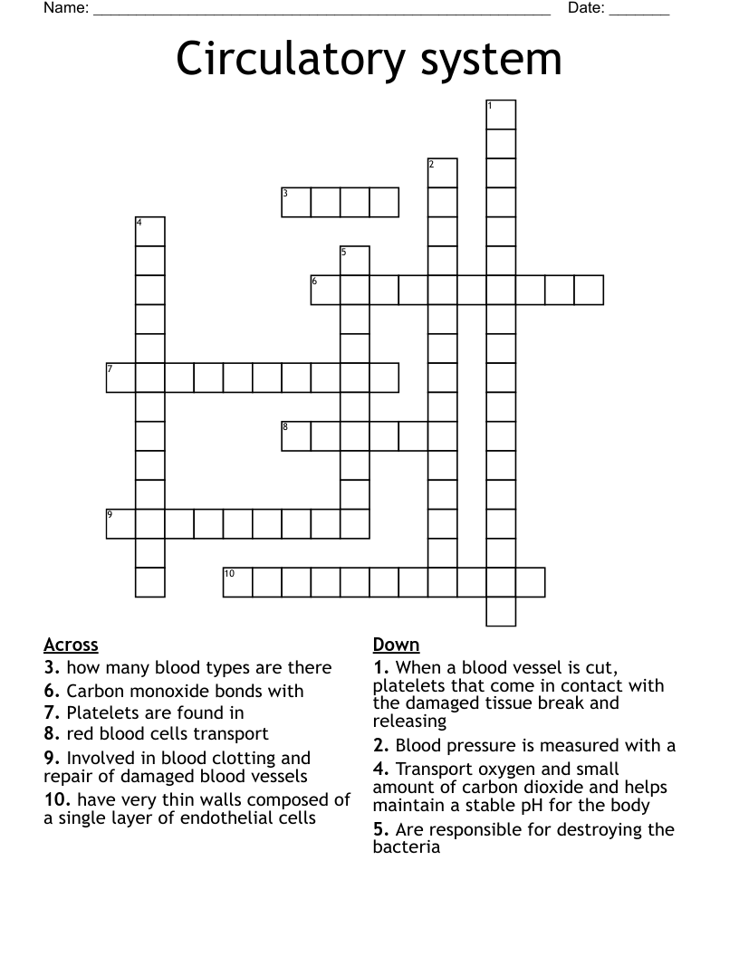 Circulatory system Crossword - WordMint