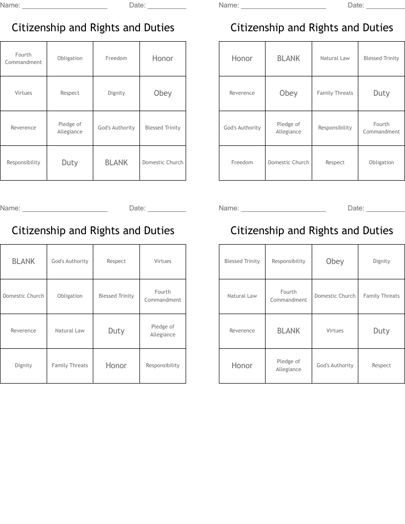Citizenship and Rights and Duties Bingo Cards - WordMint