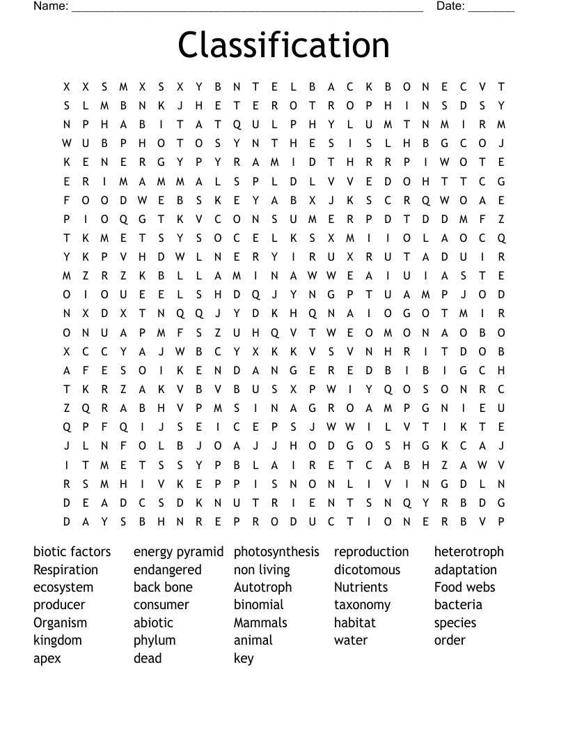 Classification Word Search WordMint