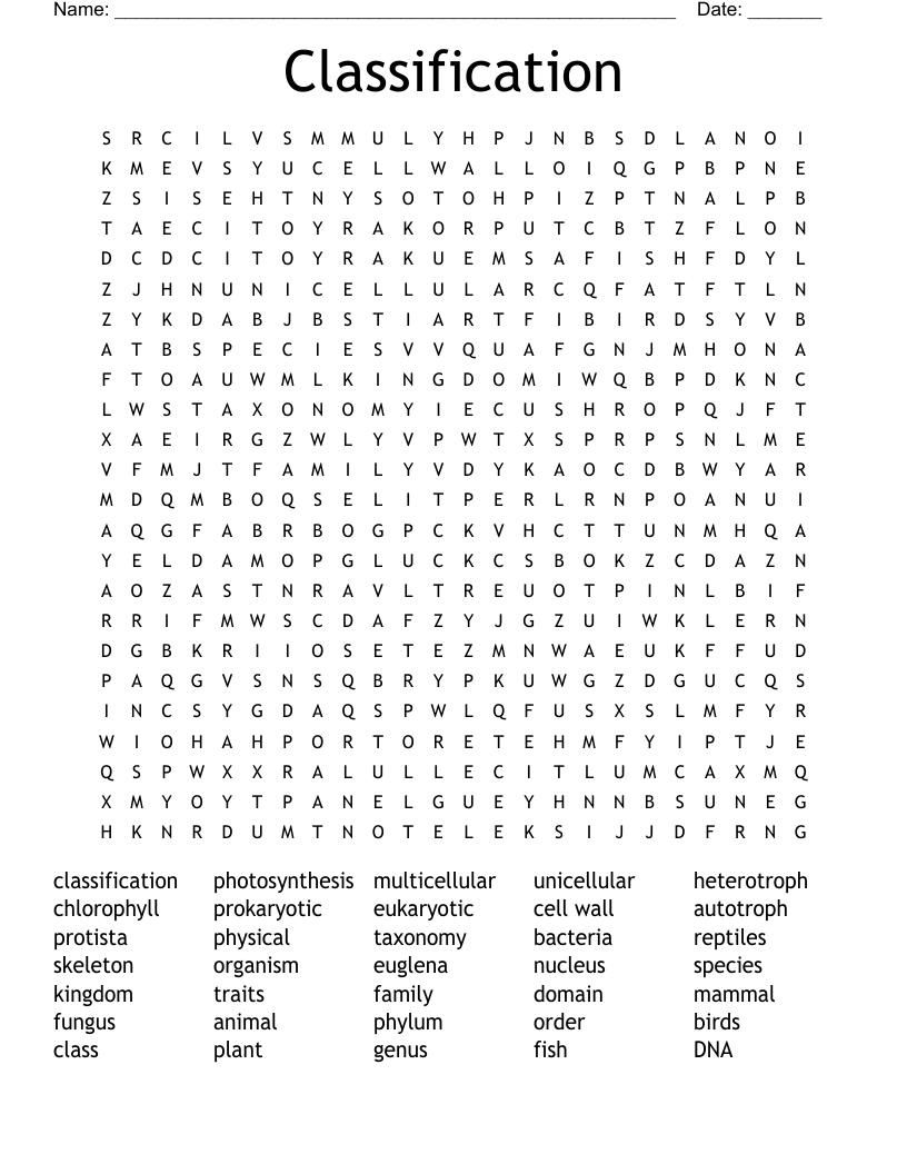 Classification Word Search WordMint