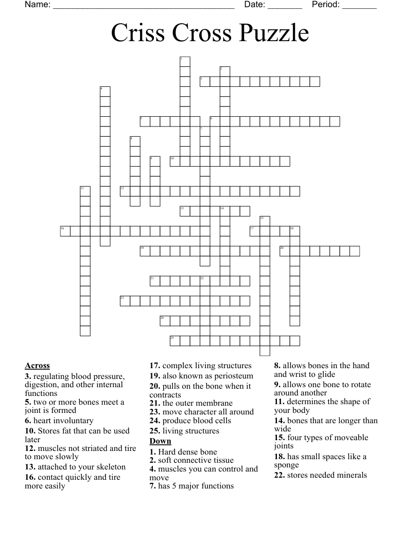 Skeletal System Crossword WordMint