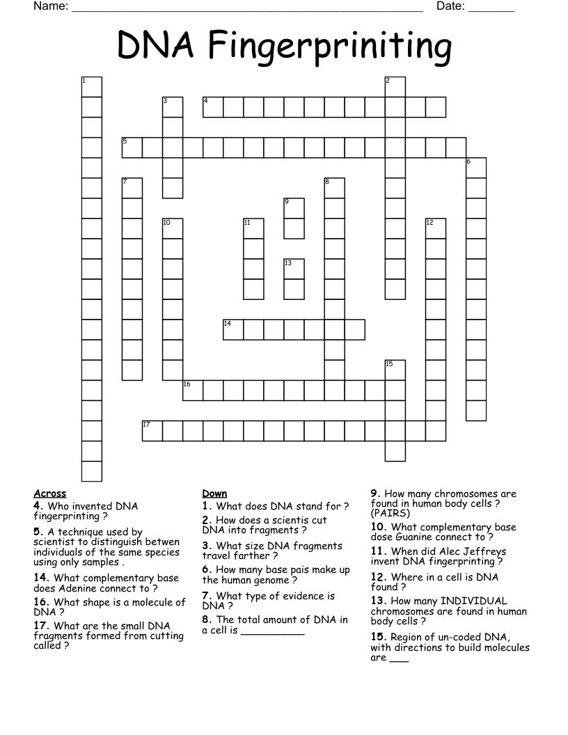 Dna Fingerprinting Worksheet With Answers Find The CAT DNA Profiling