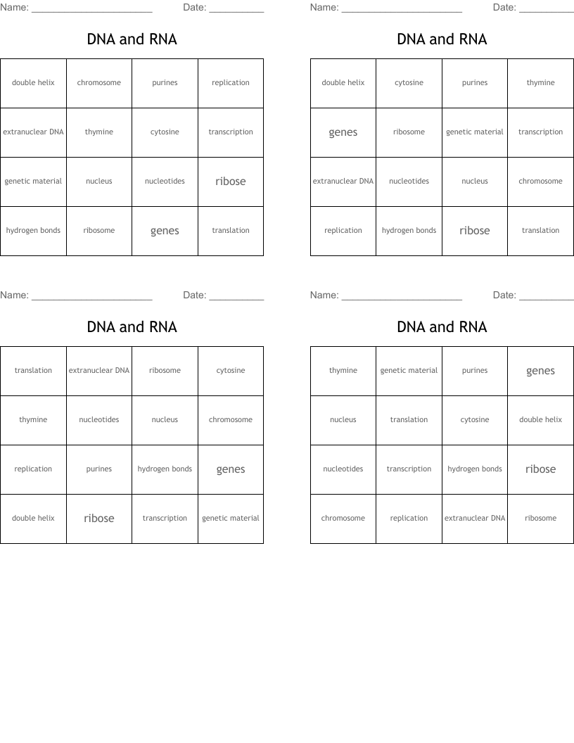 DNA and RNA Bingo Cards - WordMint