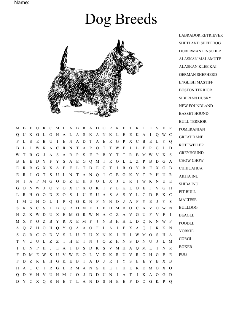 Dog Breeds Word Search WordMint