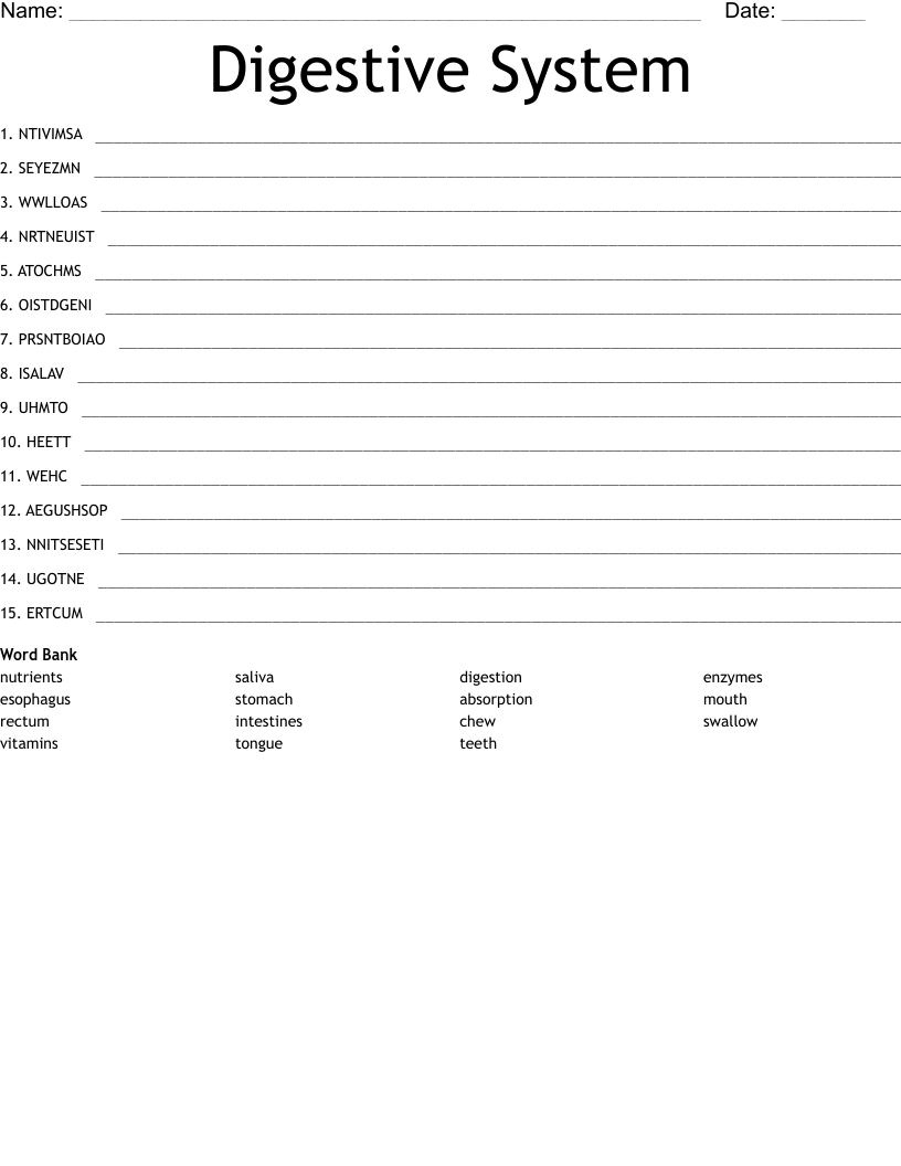 Digestive System Word Scramble - WordMint