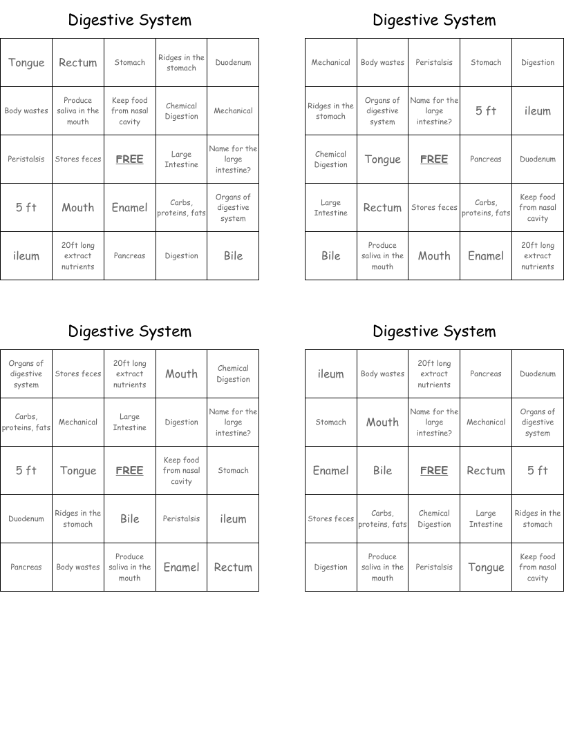 Digestive System Bingo Cards - WordMint