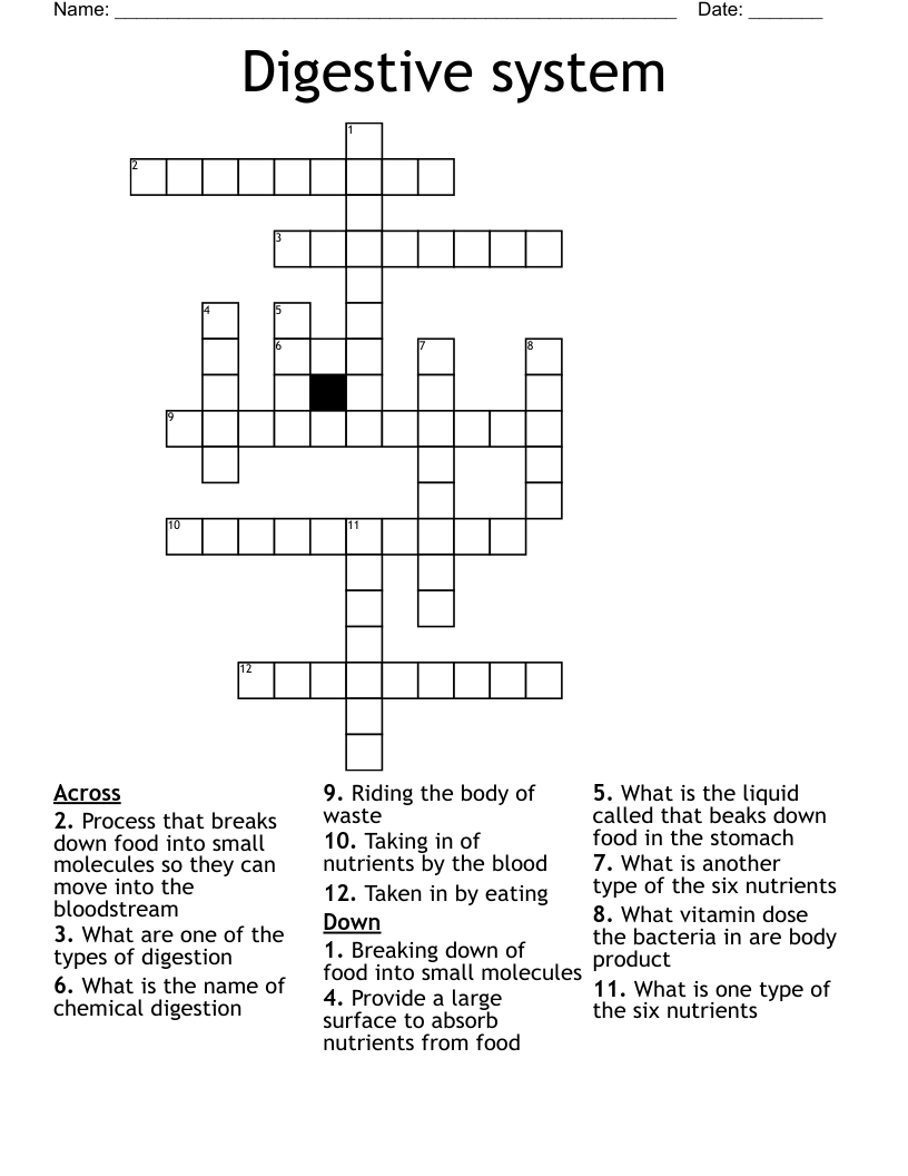 Digestive system Crossword - WordMint