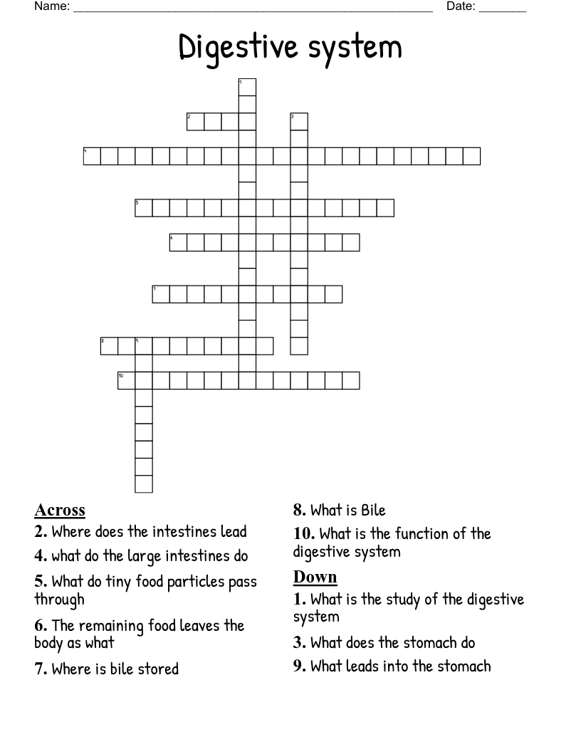 Digestive system Crossword - WordMint