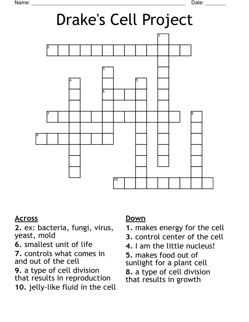 Drake s Cell Project Crossword WordMint