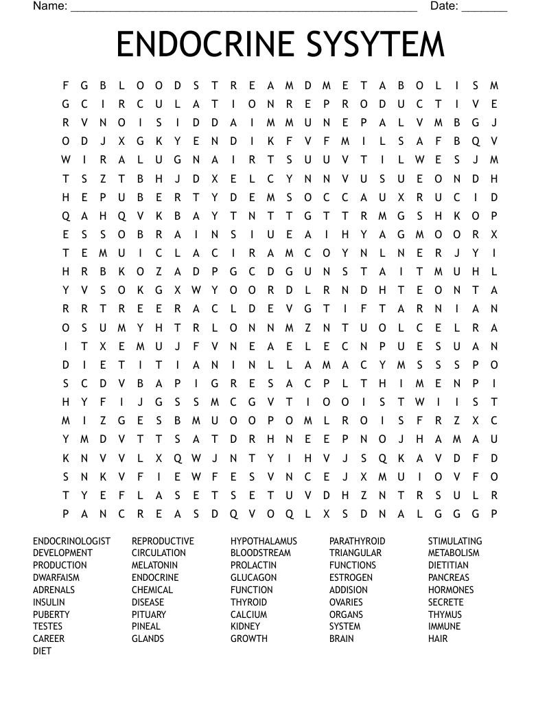ENDOCRINE SYSYTEM Word Search - WordMint