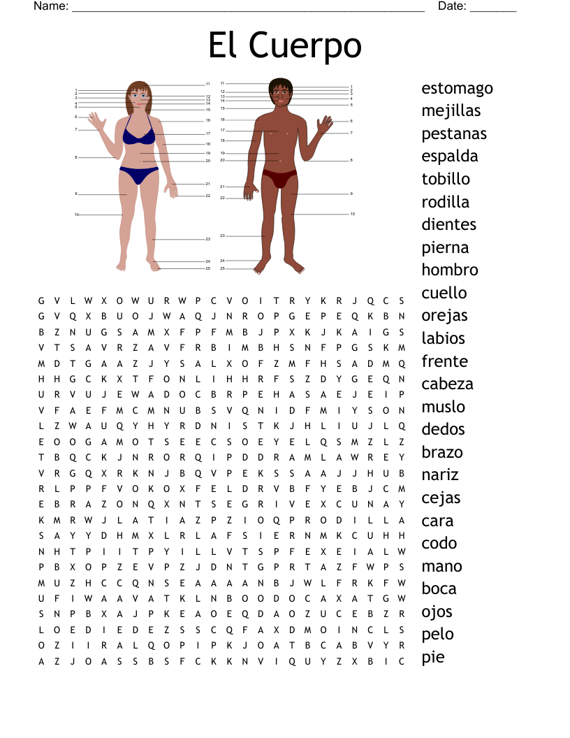 El Cuerpo Word Search WordMint