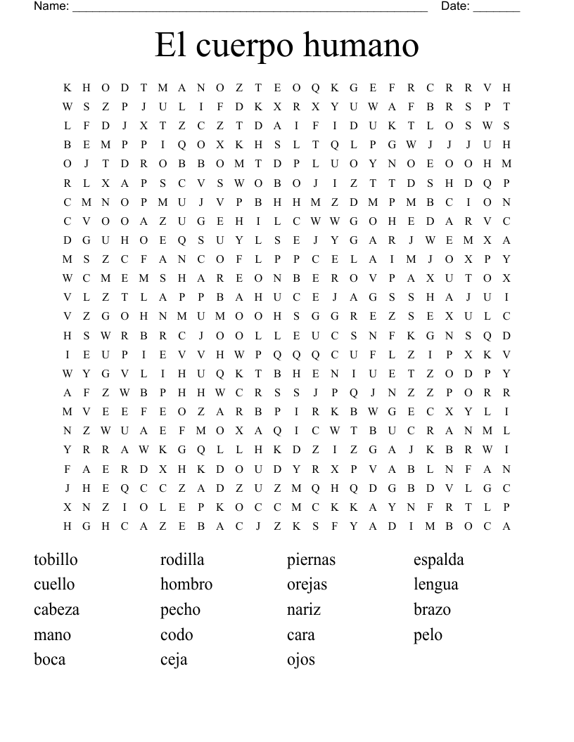 El Cuerpo Humano Word Search WordMint