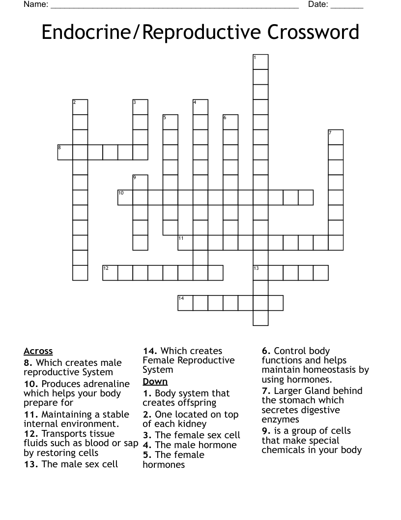 Endocrine/Reproductive Crossword - WordMint