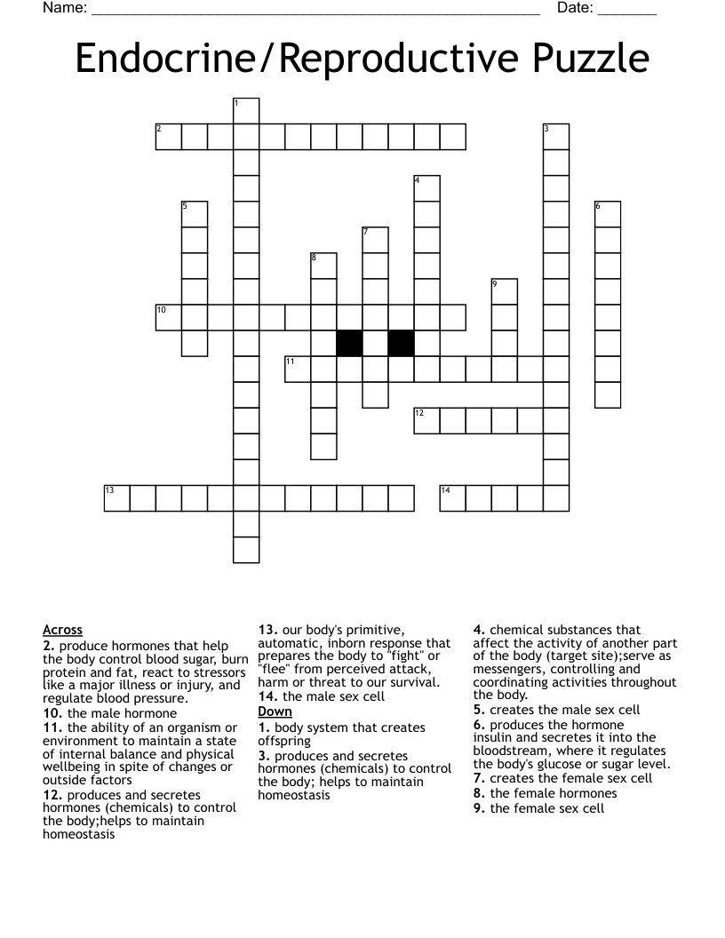 Endocrine/Reproductive Puzzle Crossword - WordMint