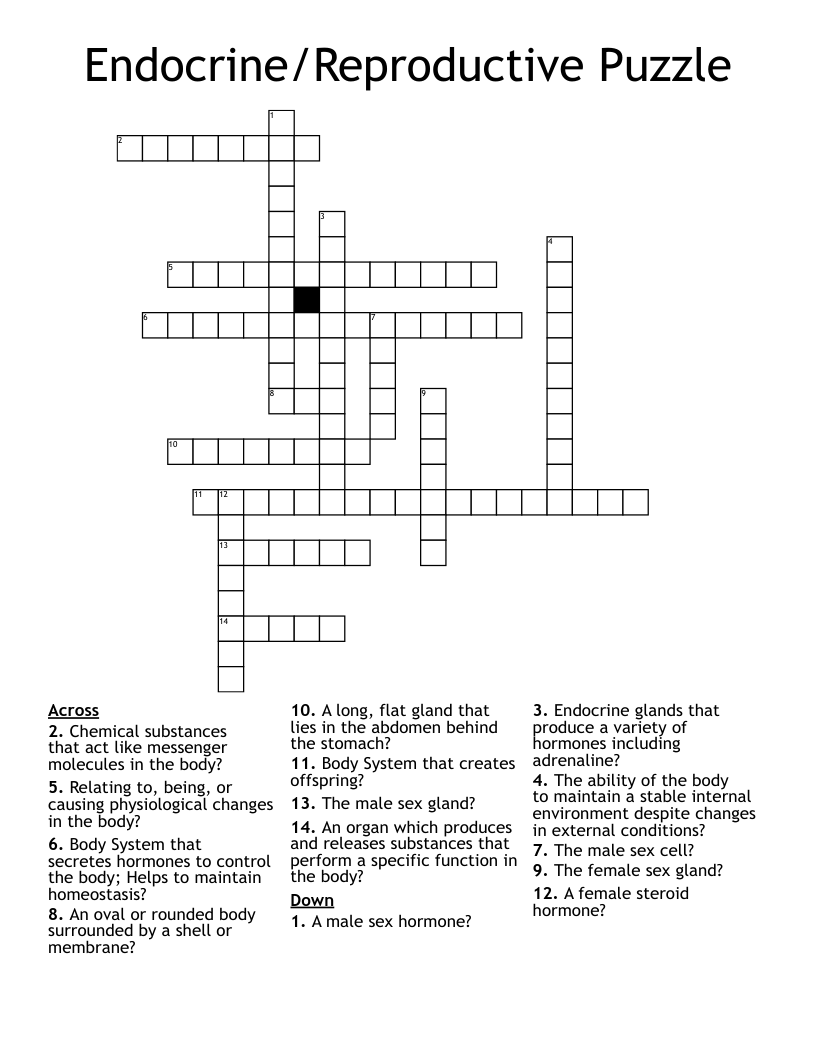 Endocrine/Reproductive Puzzle Crossword - WordMint