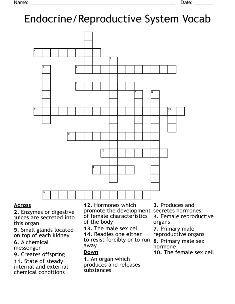 Endocrine/Reproductive System Vocab Crossword - WordMint