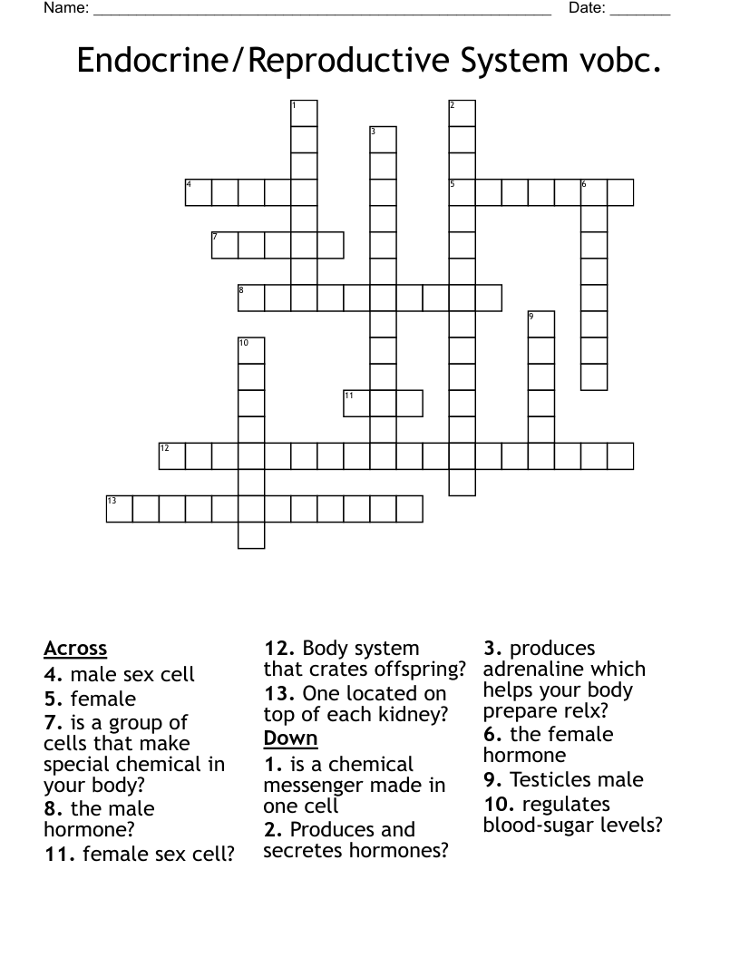 Endocrine/Reproductive System vobc. Crossword - WordMint