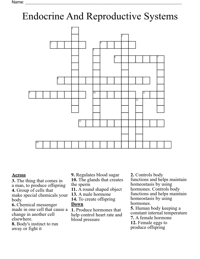 Endocrine And Reproductive Systems Crossword - WordMint