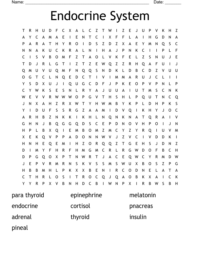 Endocrine System Word Search - WordMint