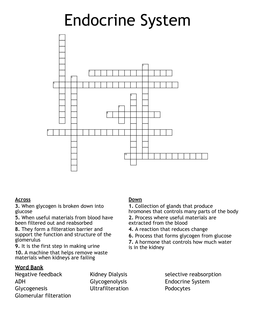 Endocrine System Crossword - WordMint